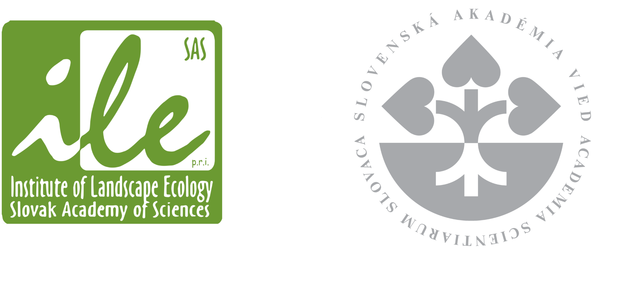 Poster Preparation Guidelines